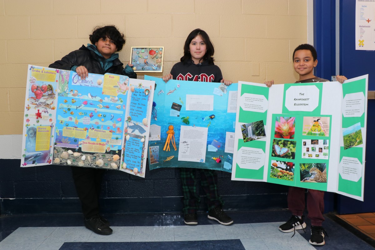 Fostertown 5th Graders Become "Experts" on Ecosystems- News - NECSD